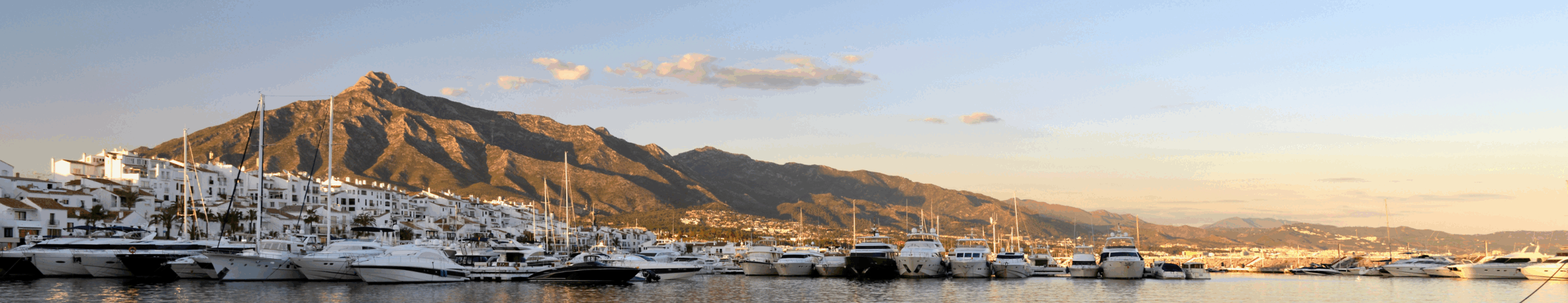 2022 | OTIS Legal Group - Euro Economics - Experts in Spain